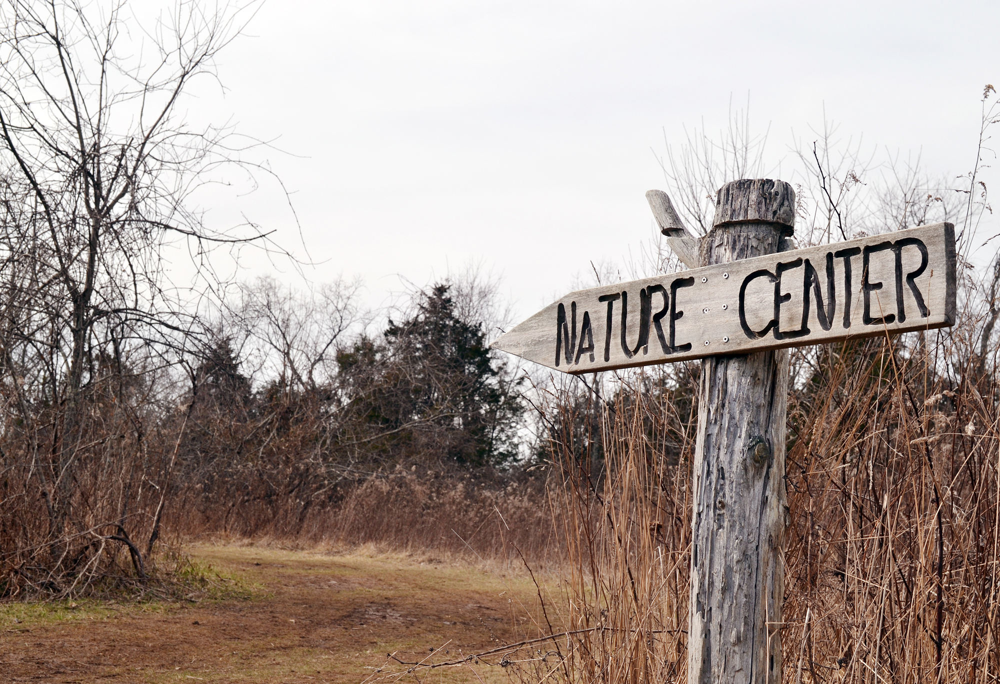 Raven Run Nature Sanctuary offers trails for all hiking levels ...
