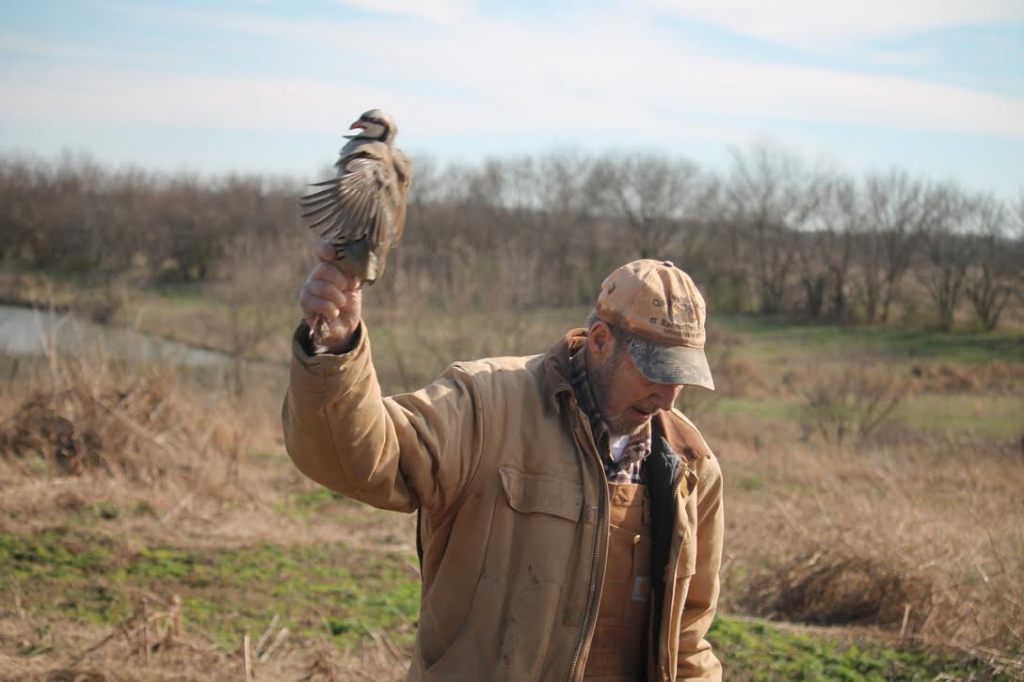 The Dart: Retired farmer now makes living offering recreational bird ...