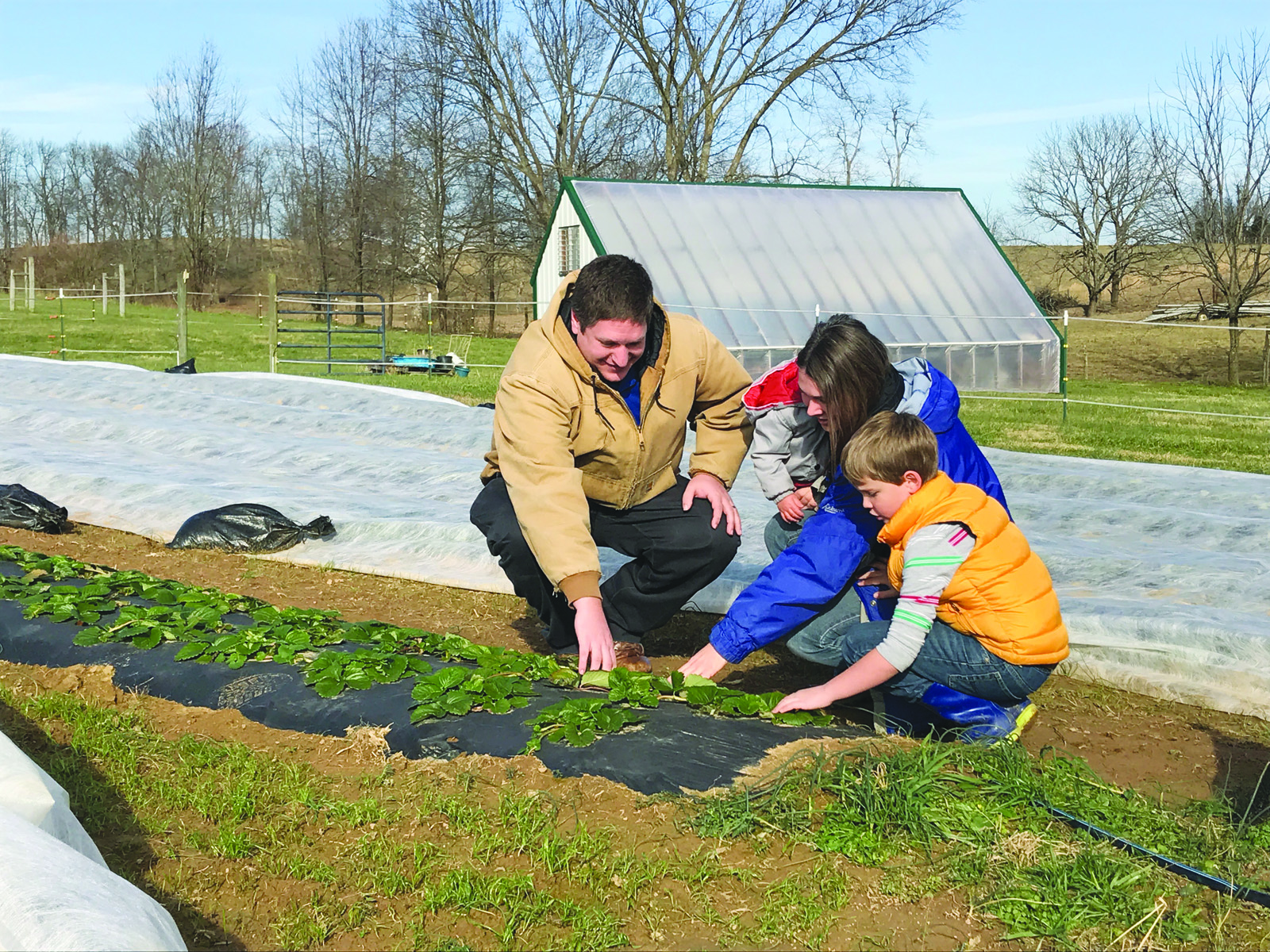 Davis wears various hats as extension agent - Winchester Sun ...