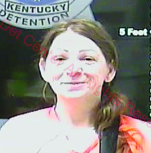 Hearing postponed again for pursuit suspect | Winchester Sun