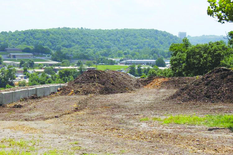 Animal composting program may start April 1 | Winchester Sun