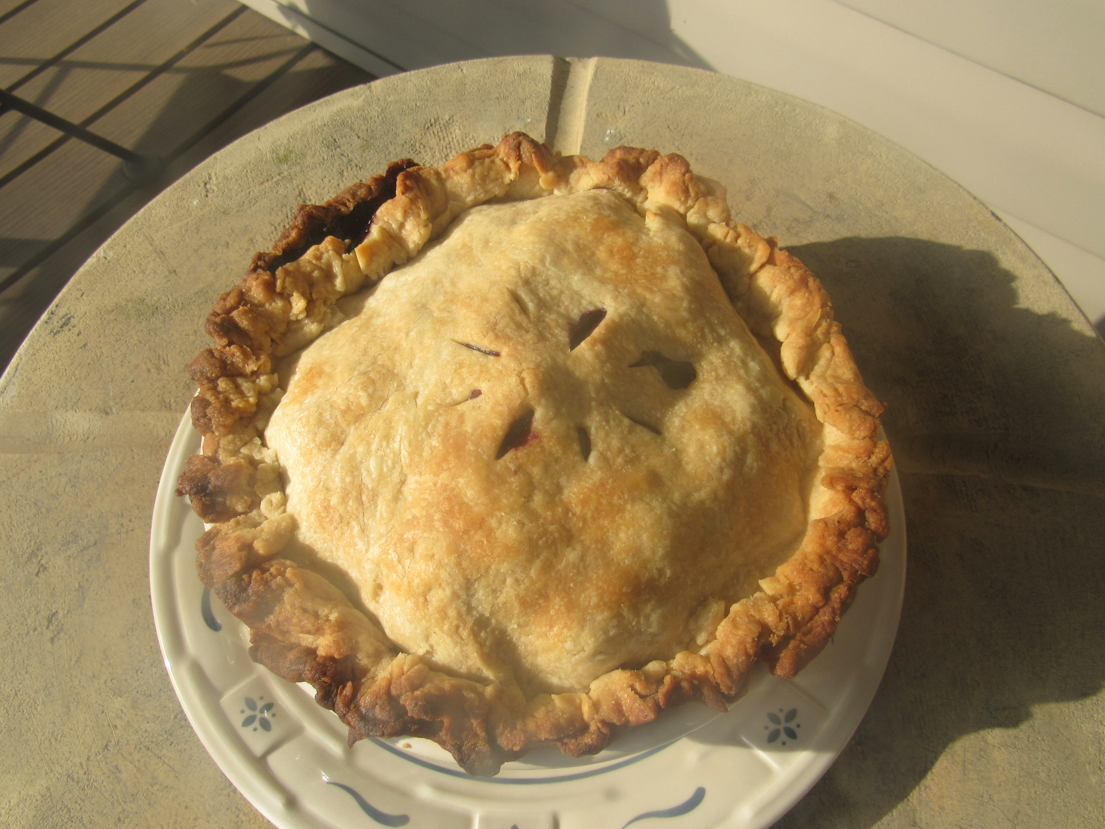 Doug Witt’s Blueberry Pie - Winchester Sun | Winchester Sun