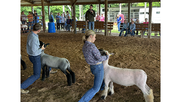 Clark County Fair kicks off with pageants and livestock competitions ...